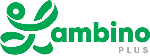 LAMBINO PLUS DOO - PAPIRNA GALANTERIJA
